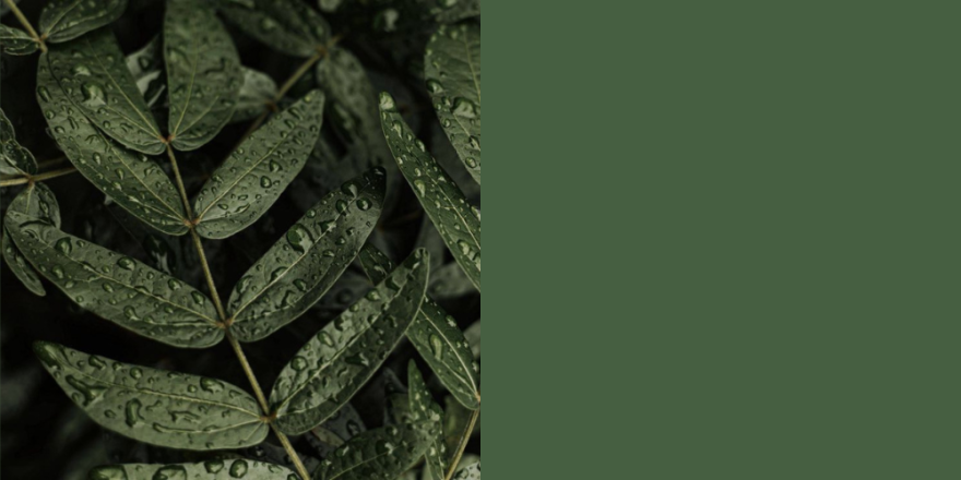 Tendances couleurs 2025 : une palette inspirée de la nature | Ateliers ...